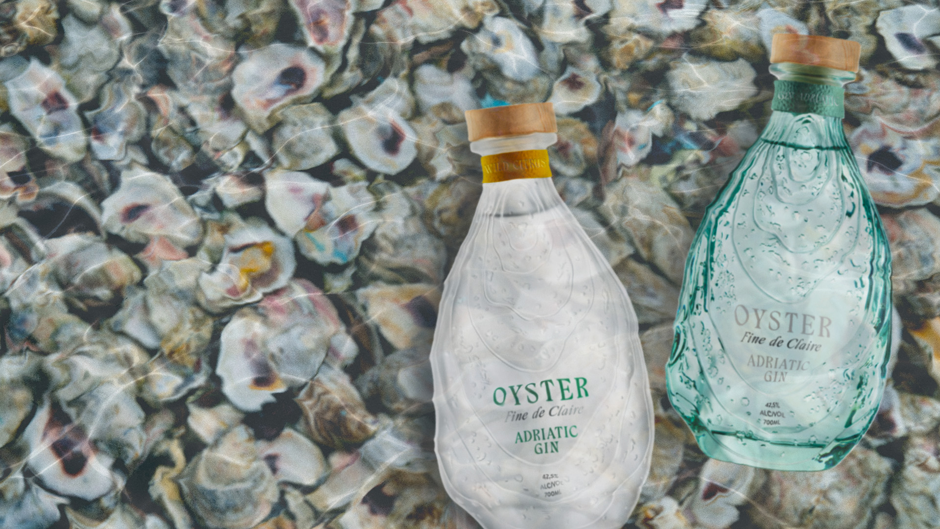 Our Gin Collection – Adriatic Gin & Wild Citrus | Oyster Gin